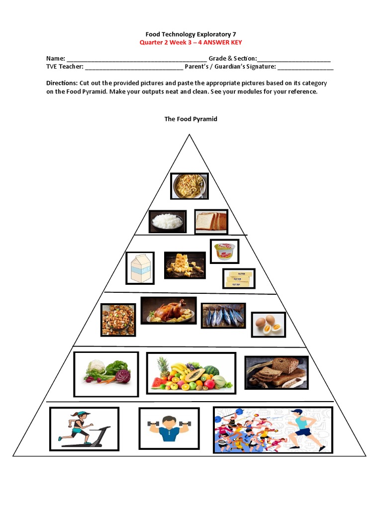 Food Technology 7: Food Pyramid Activity | PDF | Technology & Engineering