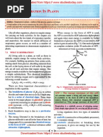 8th ICSE | PDF