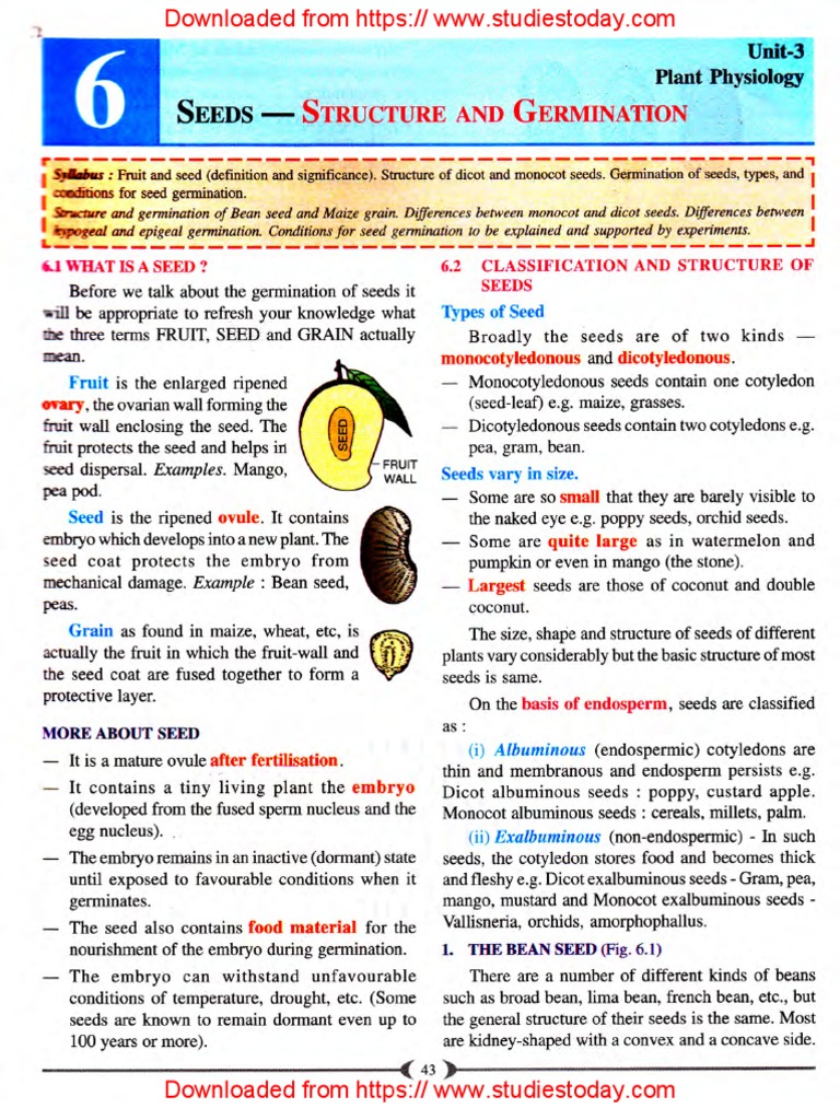 ICSE Class 9 Biology Chapter 06 Seeds Structure and Germination | PDF
