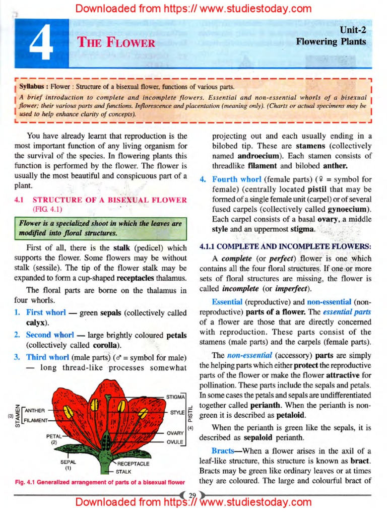 Class 9 ICSE Biology: The Flower Chapter | PDF