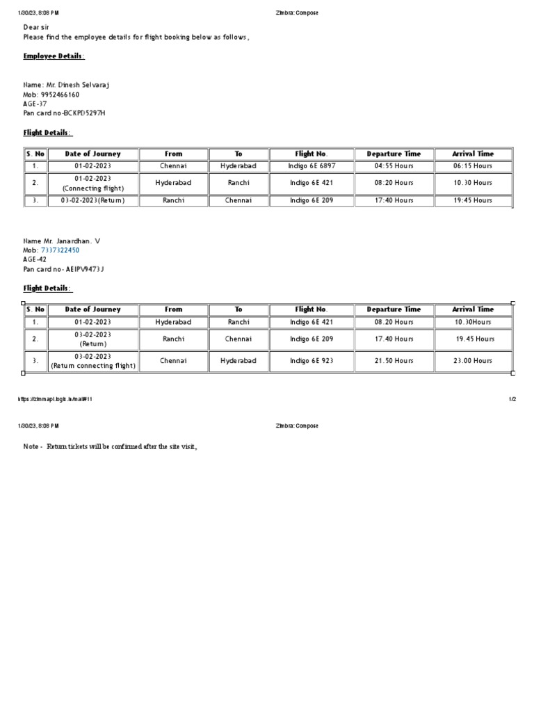 Indigo Flight Booking Details | PDF