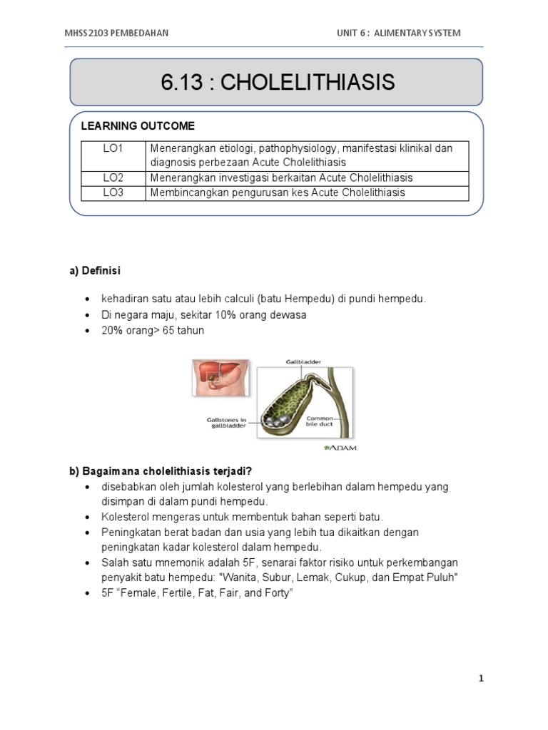 Cholelithiasis: Definisi, Penyebab, dan Pengobatan | PDF