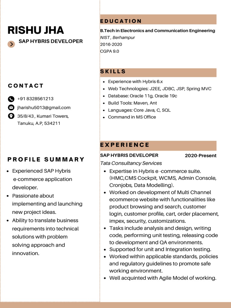 Rishu Jha: Sap Hybris Developer | PDF | Computers