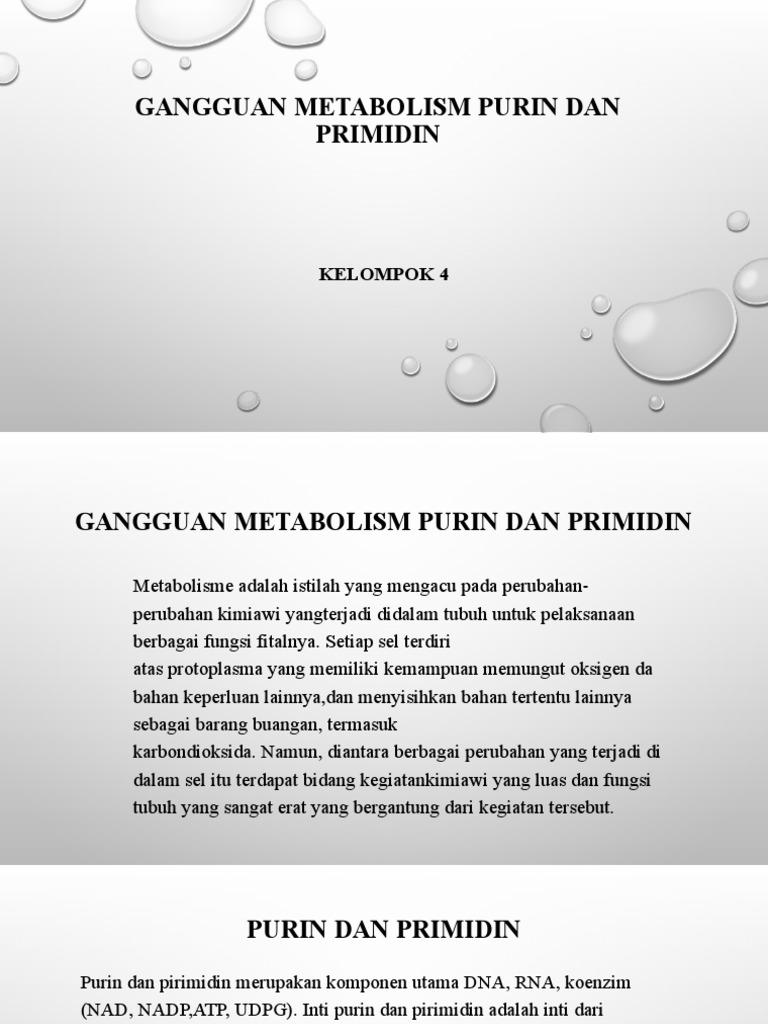 Gangguan Metabolism Purin Dan Primidin (NS ANDI) | PDF