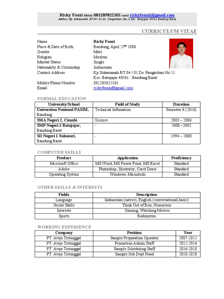 CV Ricky Fauzi | PDF | Microsoft Windows | Software Development
