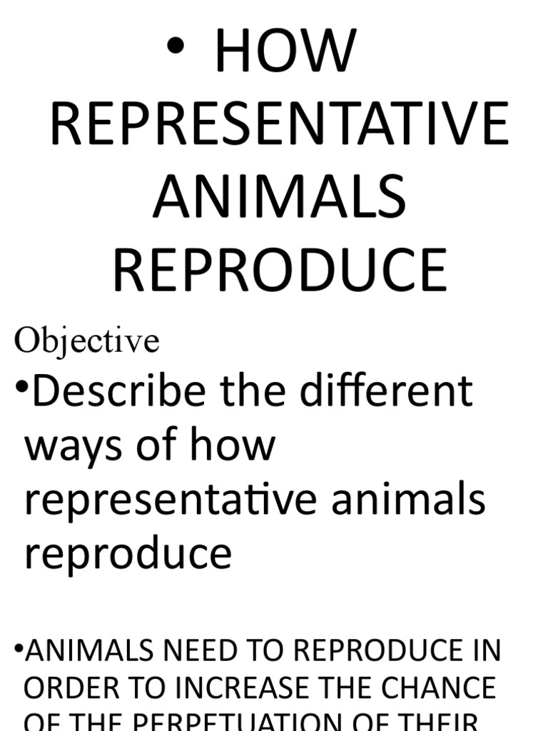How Animals Reproduce | PDF | Sexual Reproduction | Reproduction