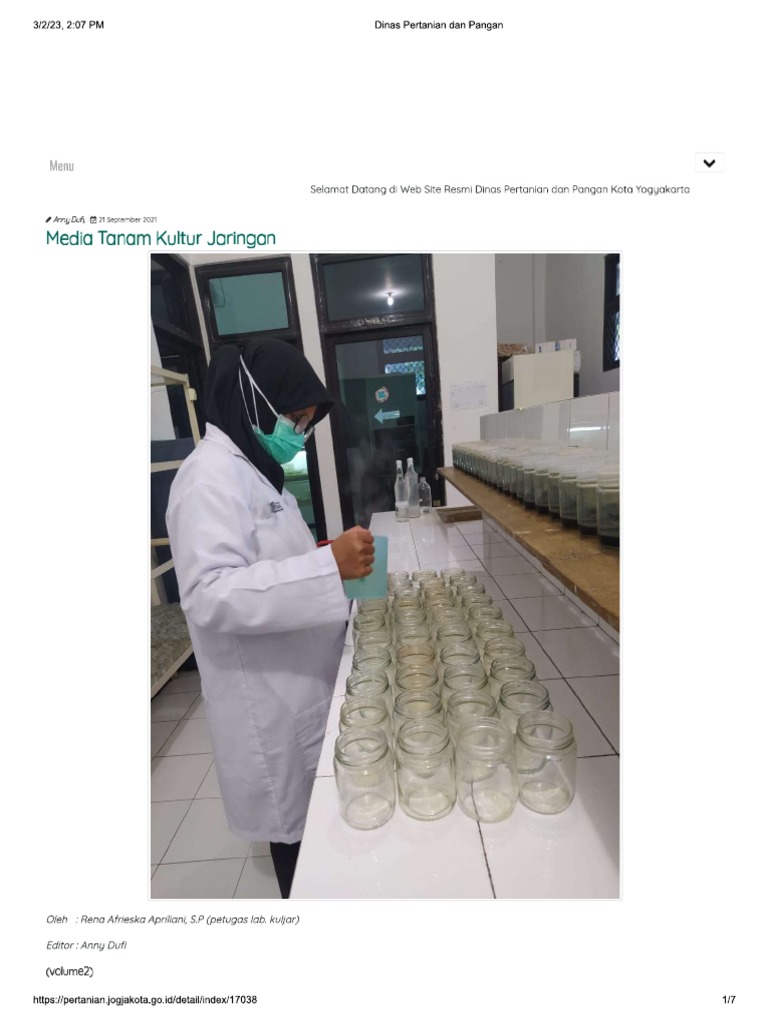 Anny Dufi (2021) | PDF