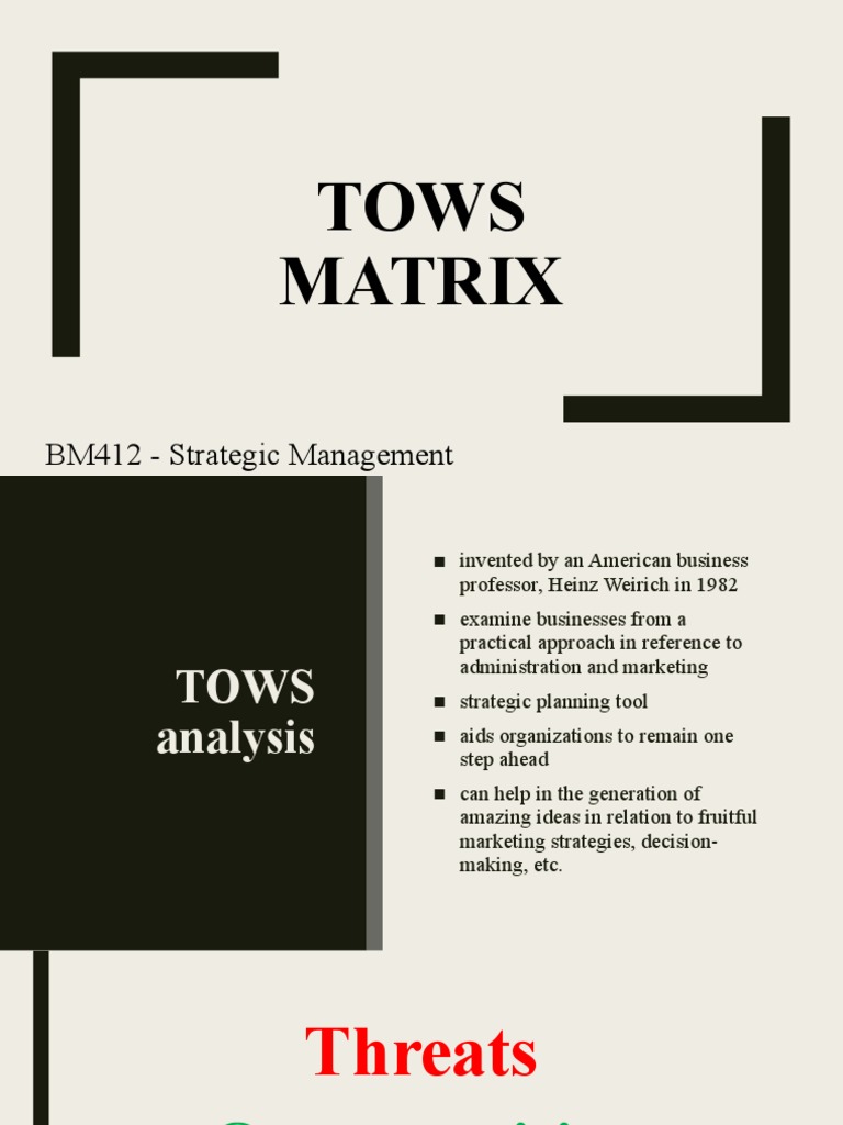 TOWS Matrix | Download Free PDF | Business Process | Economics