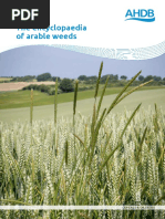 SCIENCE-5-Q2-Module 4 | PDF | Flowers | Plant Reproduction