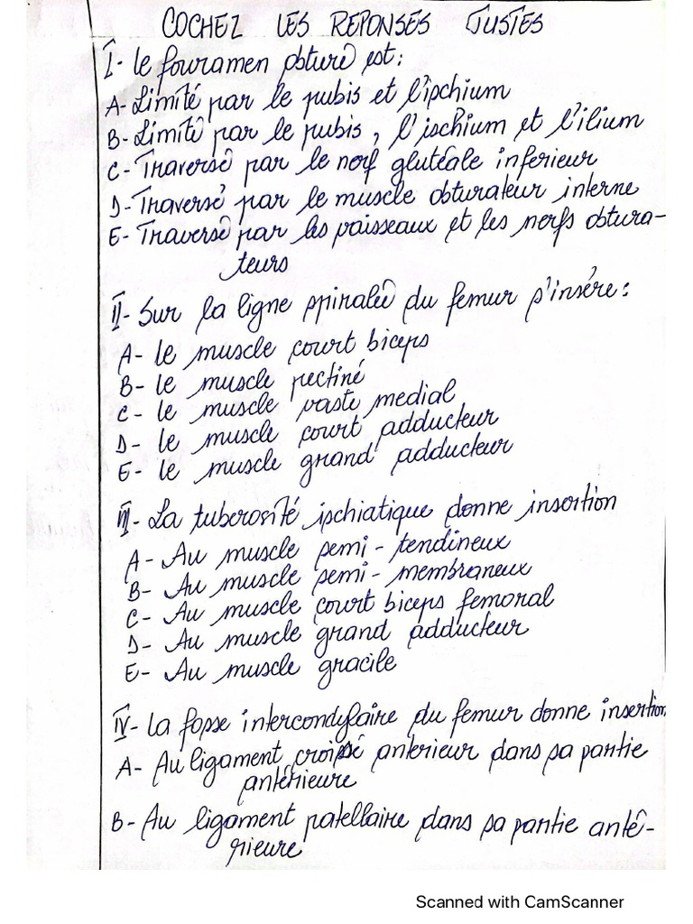 QCM Anatomie 1 | PDF