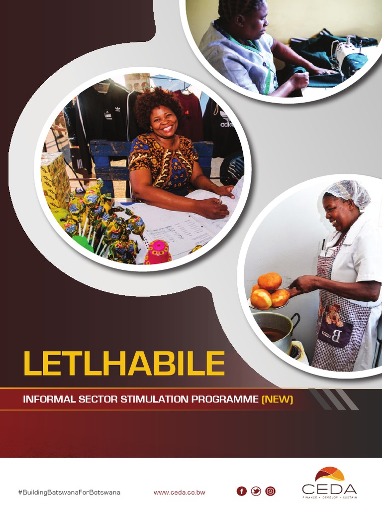 Letlhabile Informal Sector Support Program | PDF | Loans | Business