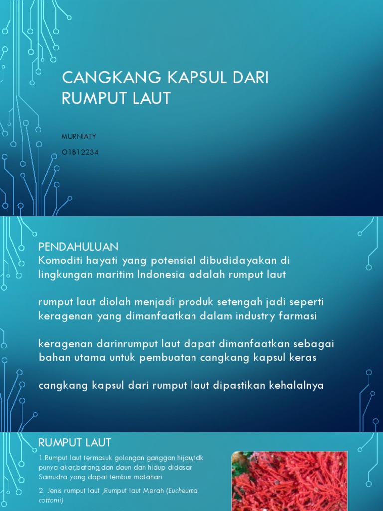 Tugas Kemaritiman Cangkang Kapsul Dari Rumput Laut | PDF