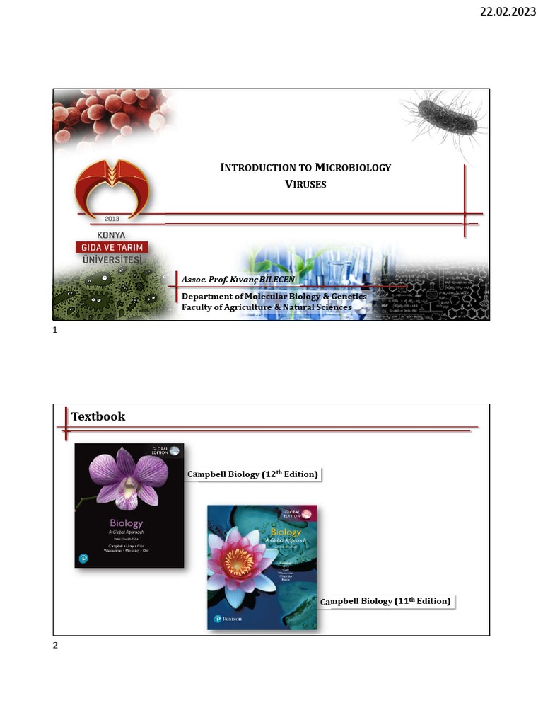 Introduction To Microbiology - Viruses | PDF | Virus | Bacteriophage