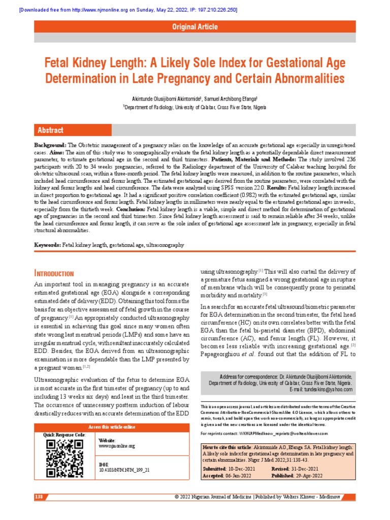 Fetal Kidney Length | PDF