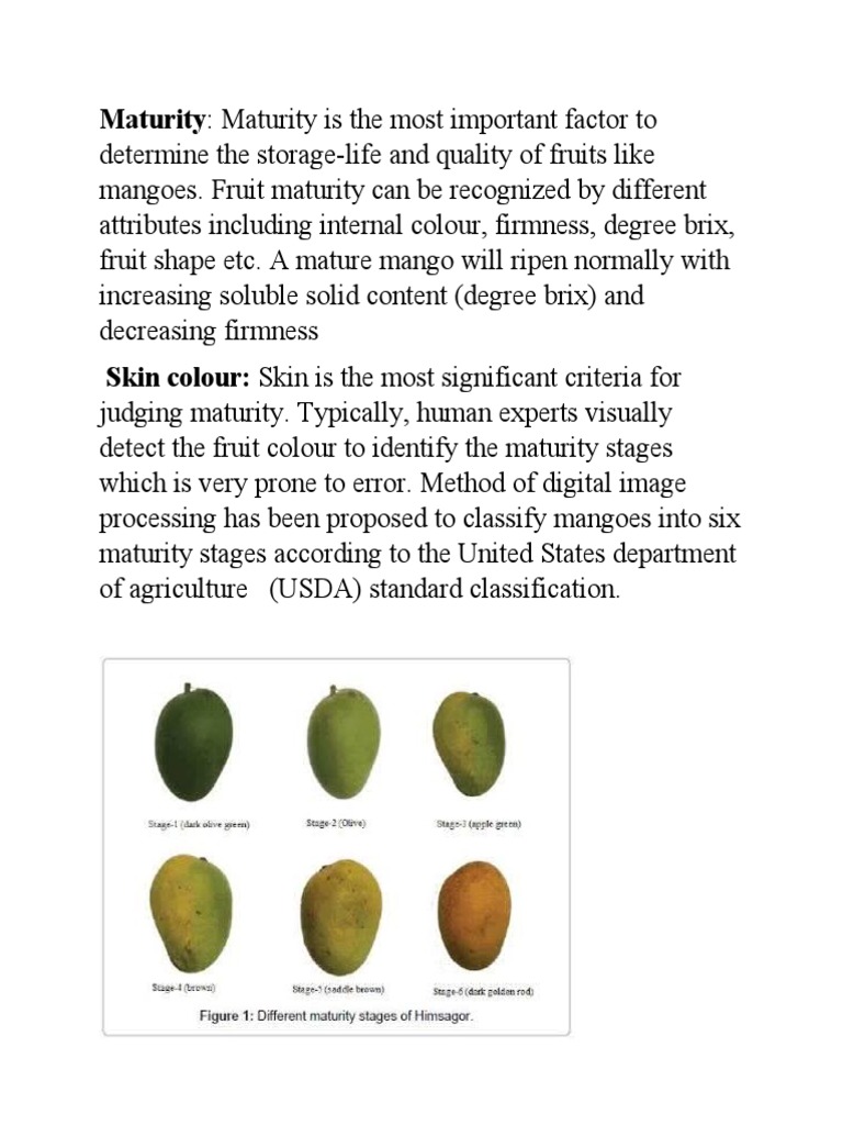 Maturity Indices | PDF