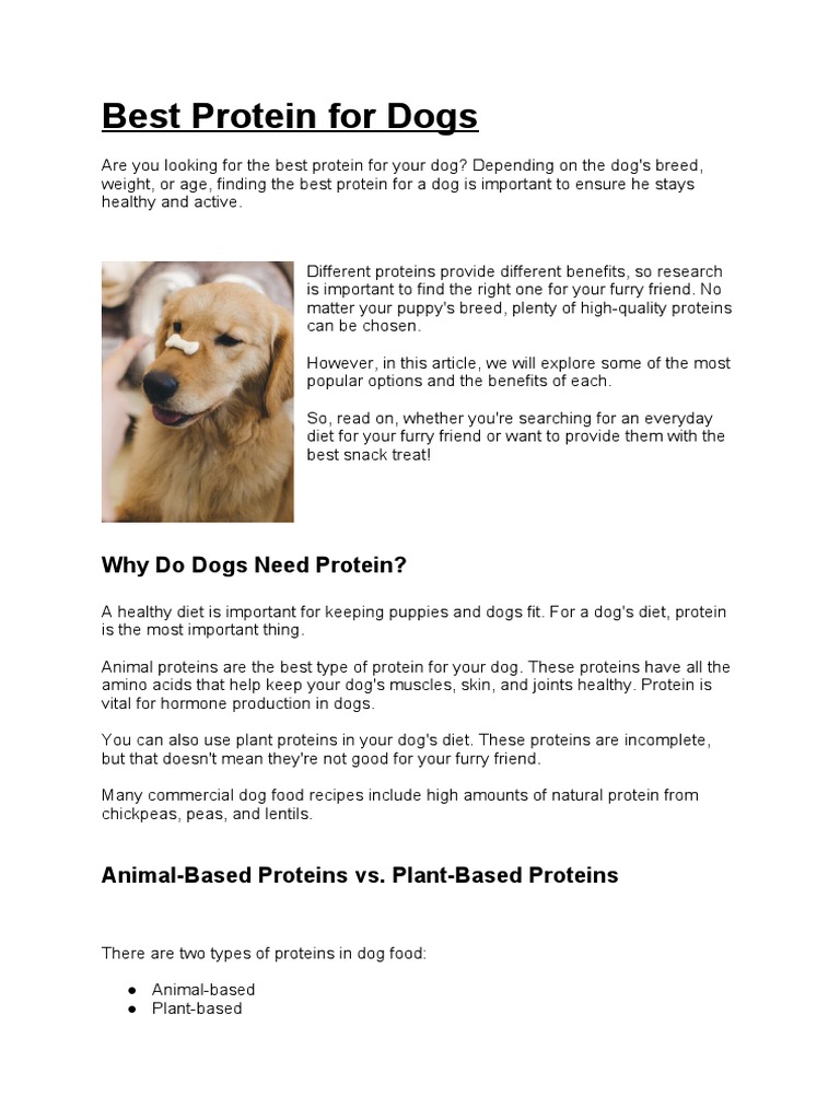 Best Protein For Dogs | PDF