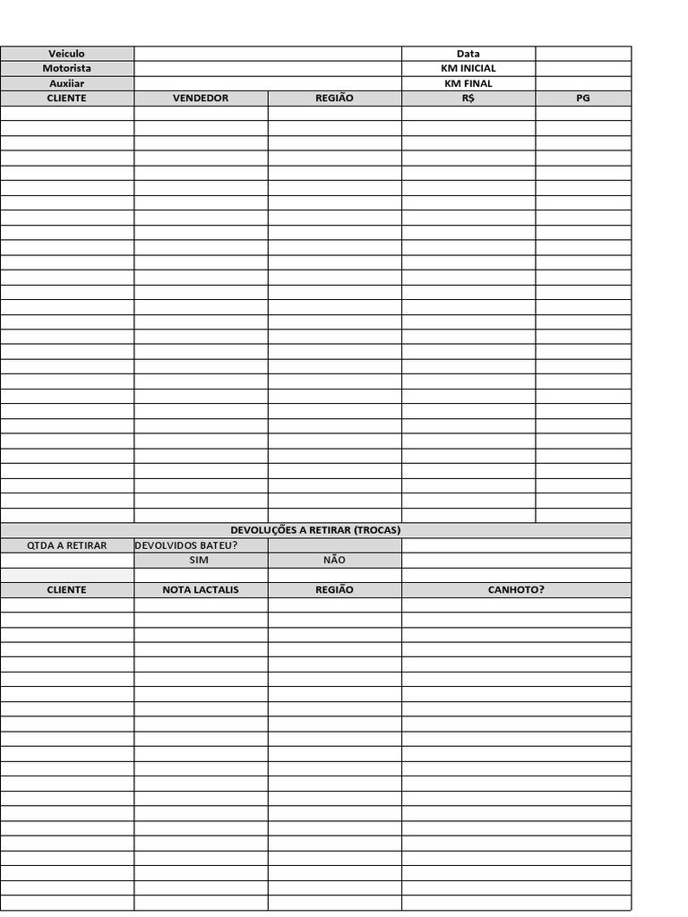 Modelo para Relatorio Diario | PDF