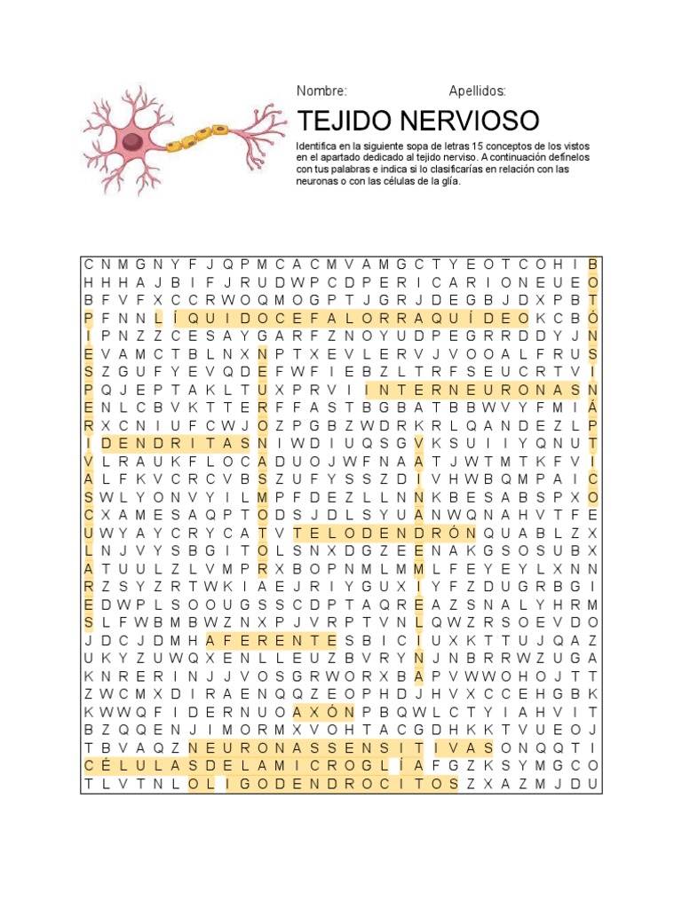Ismael Giles González - SOPA DE LETRAS TEJIDO NERVIOSO | PDF ...