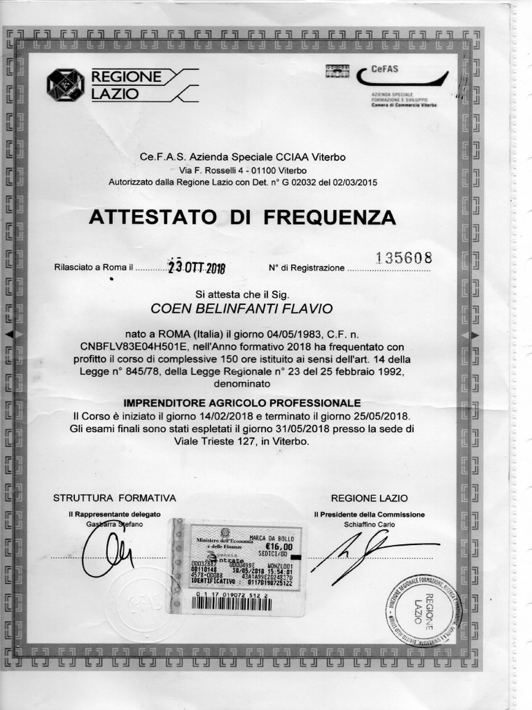 Attestato IAP001 | PDF