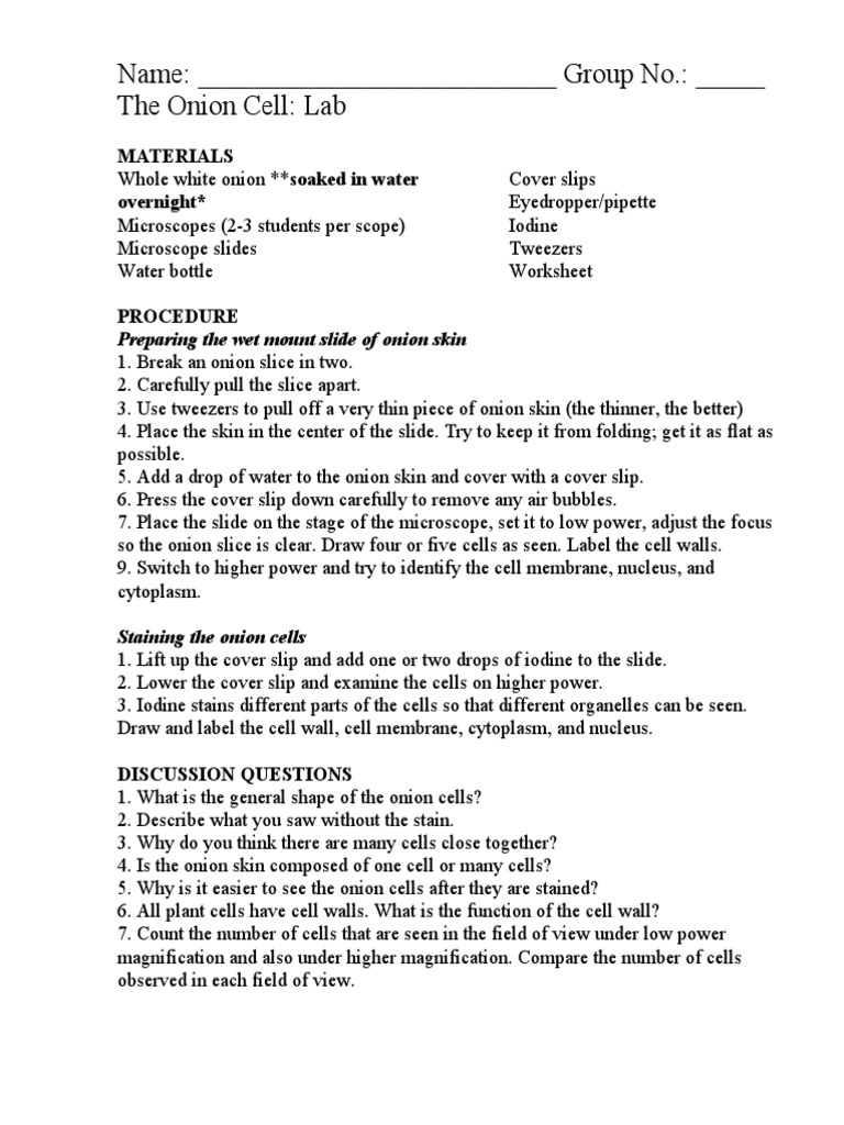 Onion Cell | PDF | Cell (Biology) | Staining