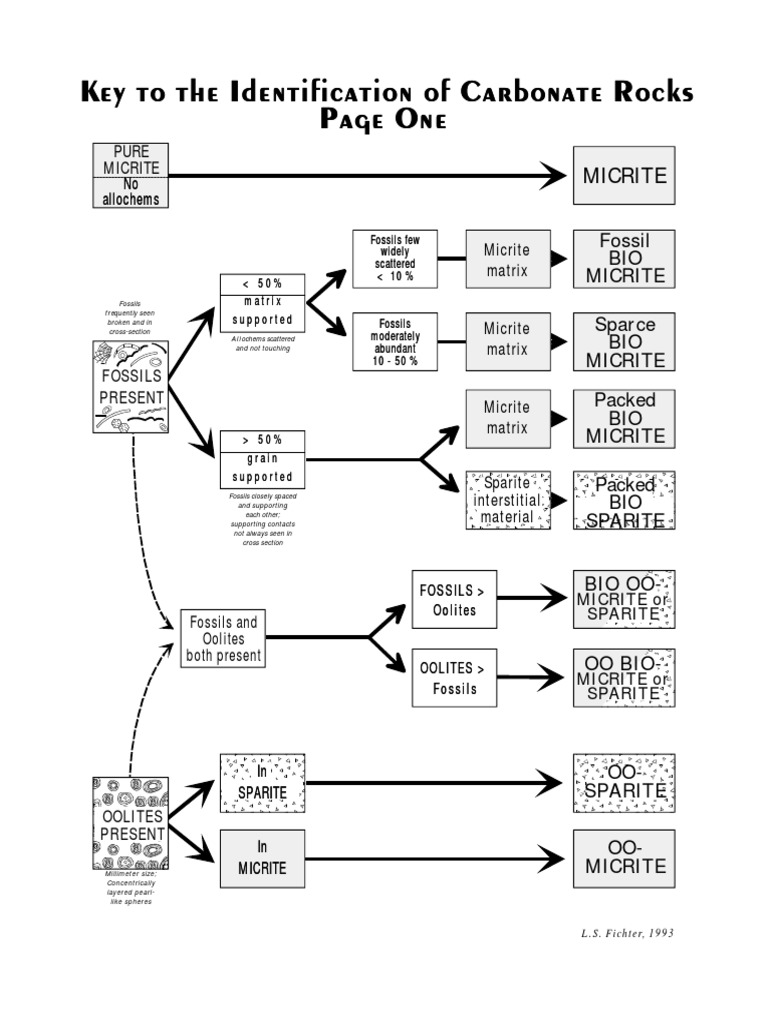 Carbonate Rocks Identification Key | PDF | Rocks | Sedimentology