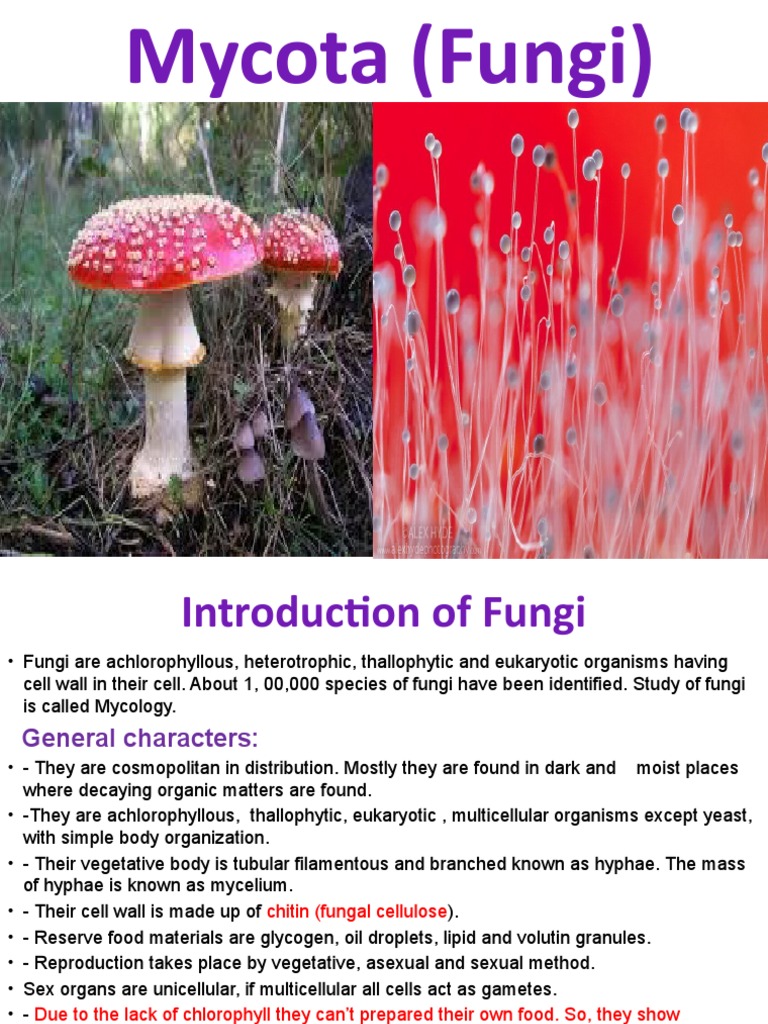 5 Fungi Pdf Fungus Sexual Reproduction