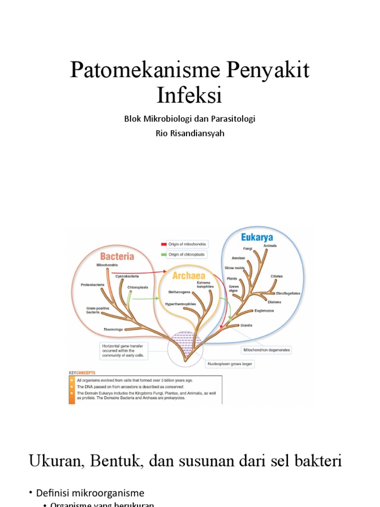 Patomekanisme Penyakit Infeksi | PDF