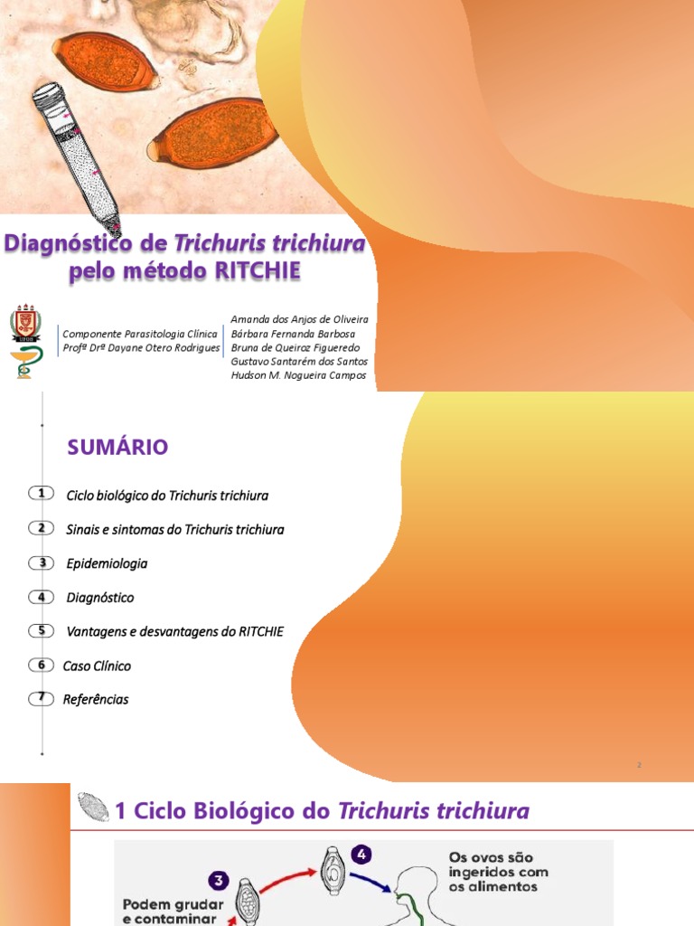Diagnóstico de Trichuris Trichiura Pelo Método Ritchie | PDF | Medicina ...