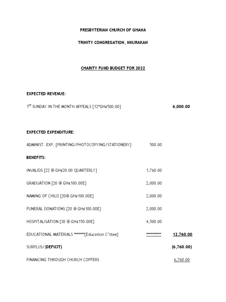 Charity Fund Budget | PDF