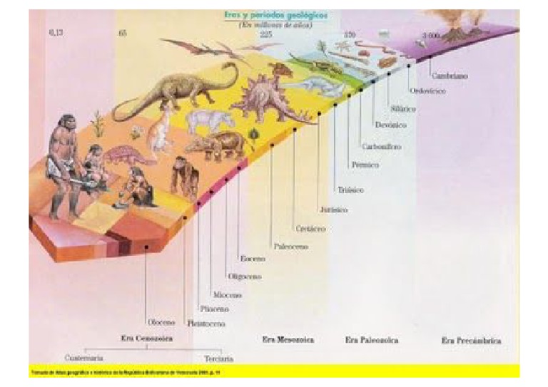 Evolucion de La Vida | PDF