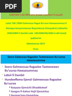 Labsii Buusaa Gonofaa | PDF