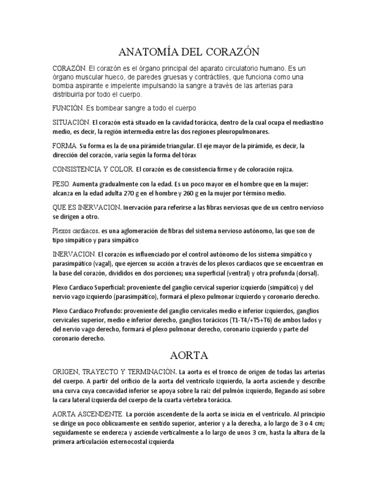 Anatomía Del Corazón 2 | PDF | Aorta | Corazón