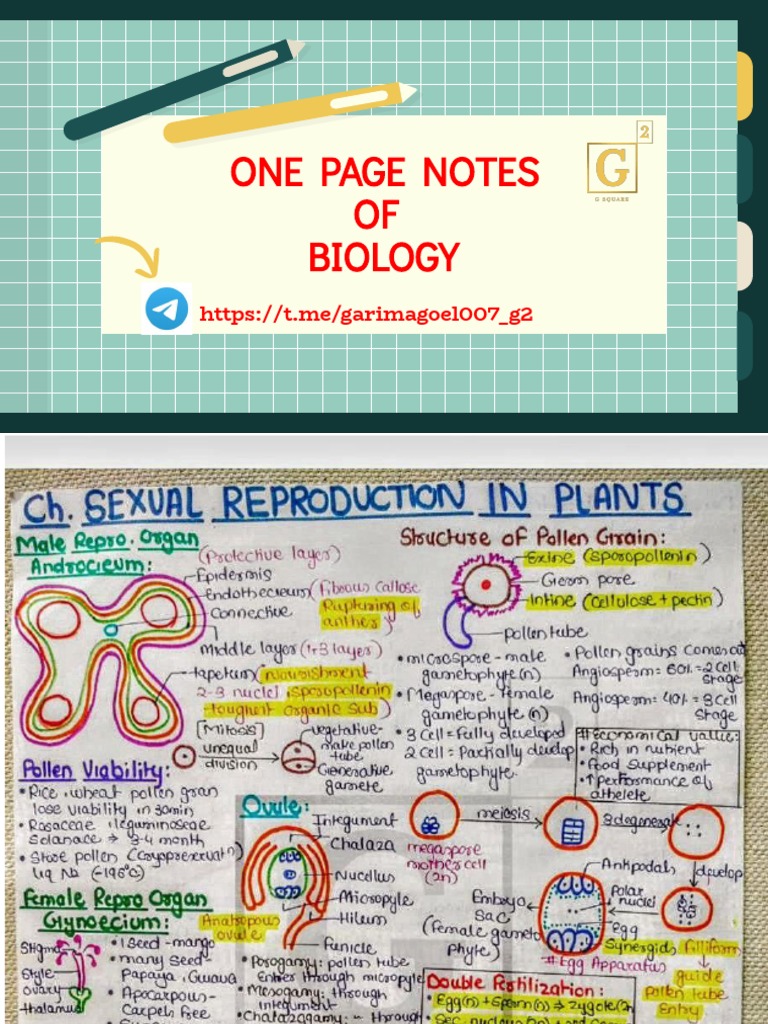 Sexual Reproduction of Flowering Plant @g2. | PDF
