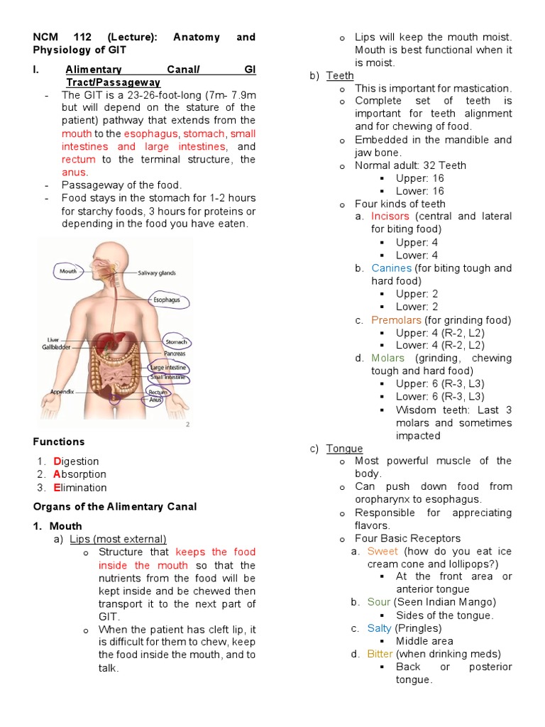 NCM 112 Pre Lim Notes | PDF | Esophagus | Digestion
