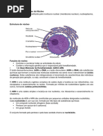 Classificação de Baltimore | PDF | Vírus | RNA