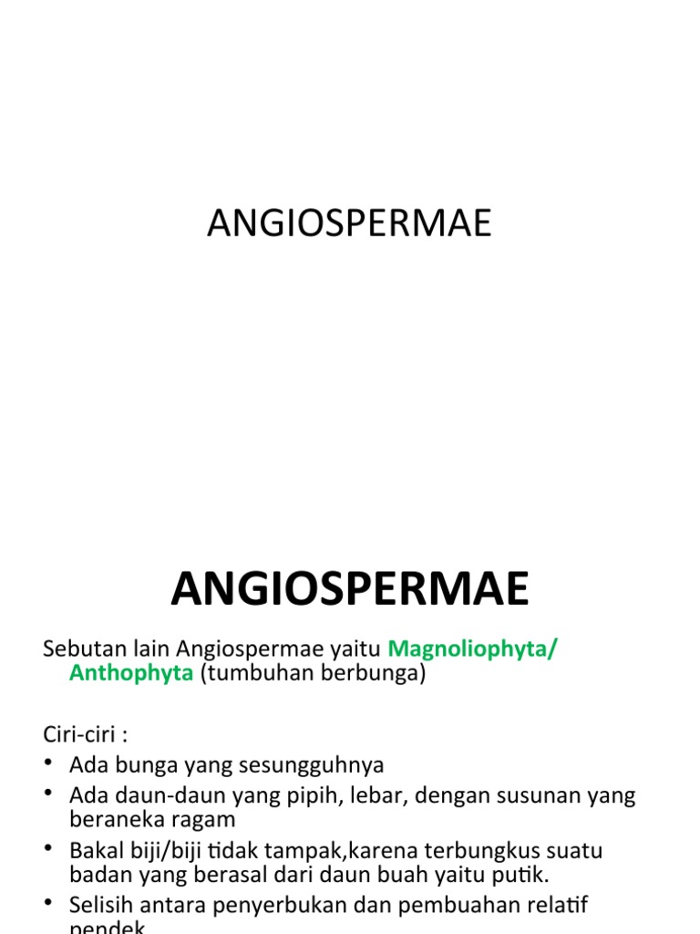Ciri dan Klasifikasi Angiospermae | PDF | Sains & Matematika