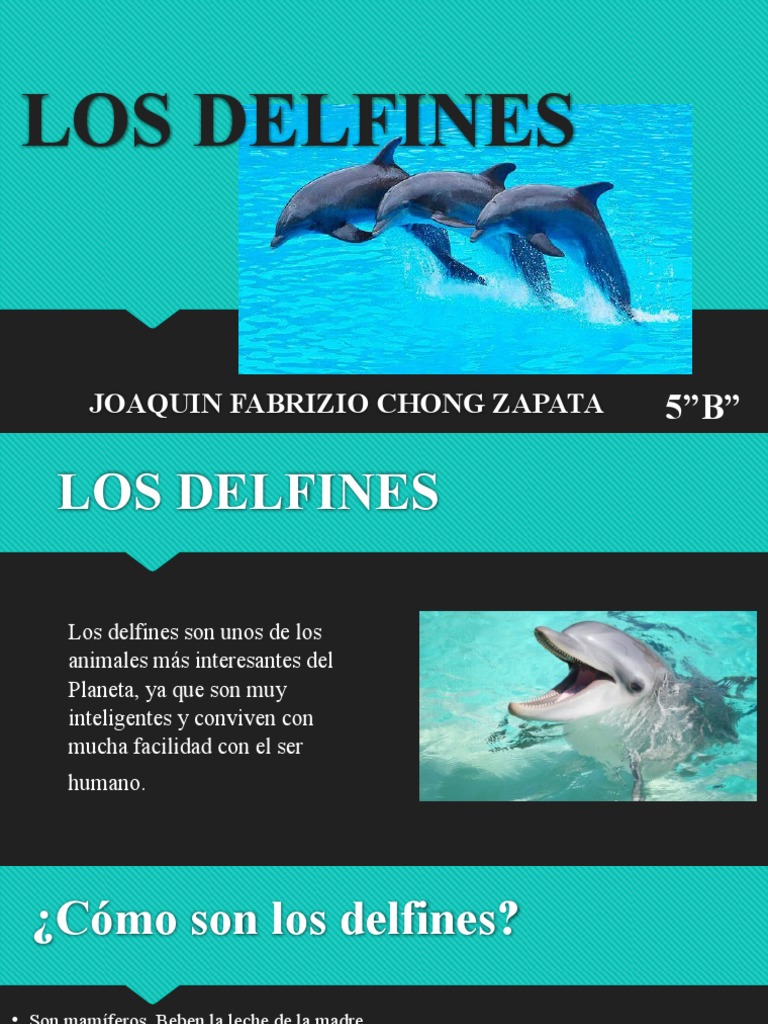 Los Delfines | PDF | Organismos