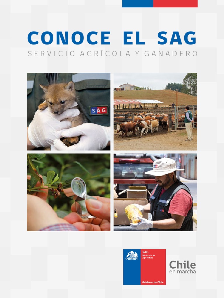 Conoce El SAG | PDF | Agricultura