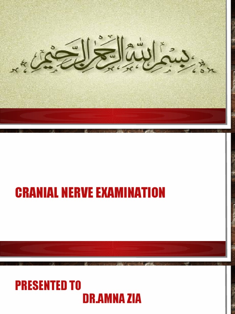 Cranial Nerve Exam Guide | PDF | Neuroscience | Human Eye