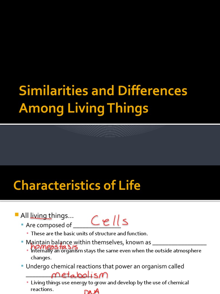 Similarities and Differences in Living Things-Edited - Key | PDF ...