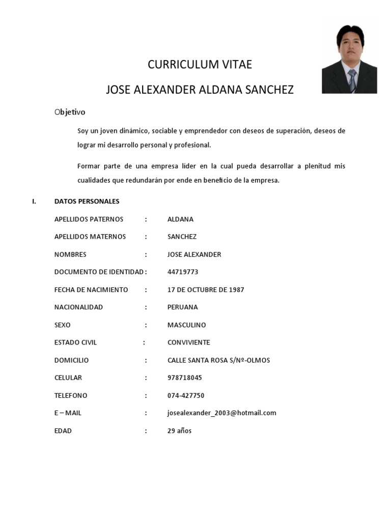 Curriculum Vitae Alexander Aldana Sanchez | Descargar gratis PDF | Economias