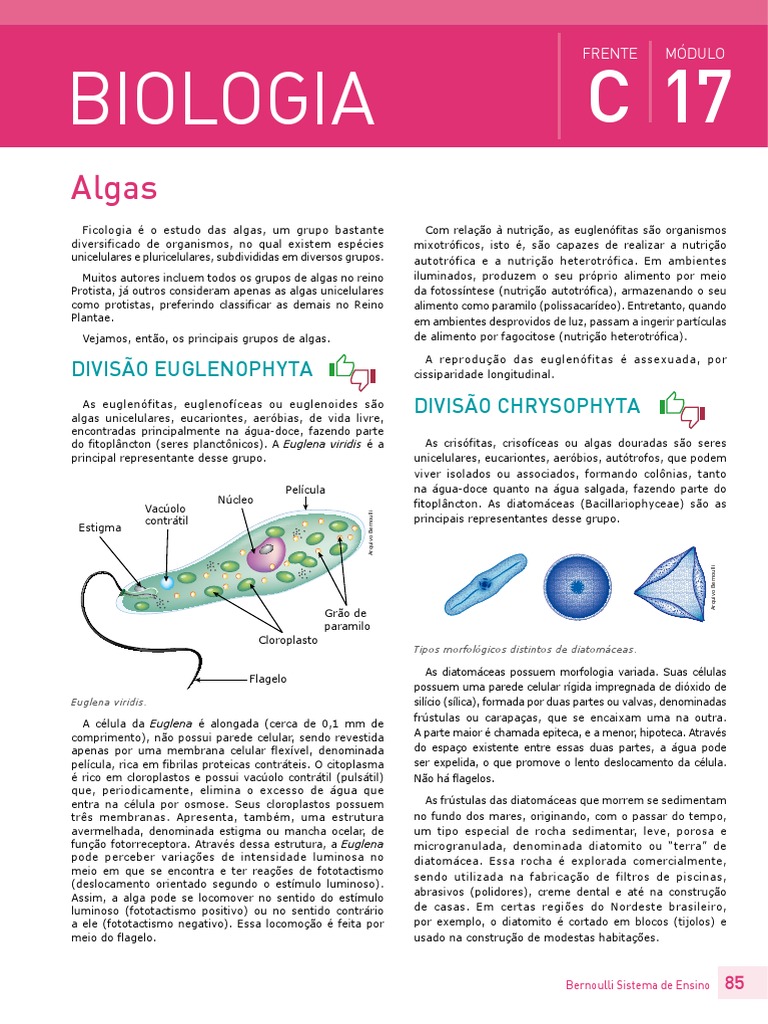 17 C Biologia: Algas | PDF | Algas | Célula (Biologia)