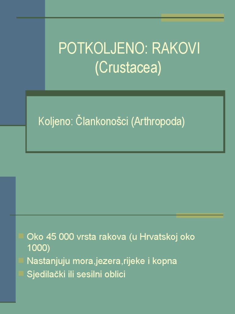 Rakovi | PDF