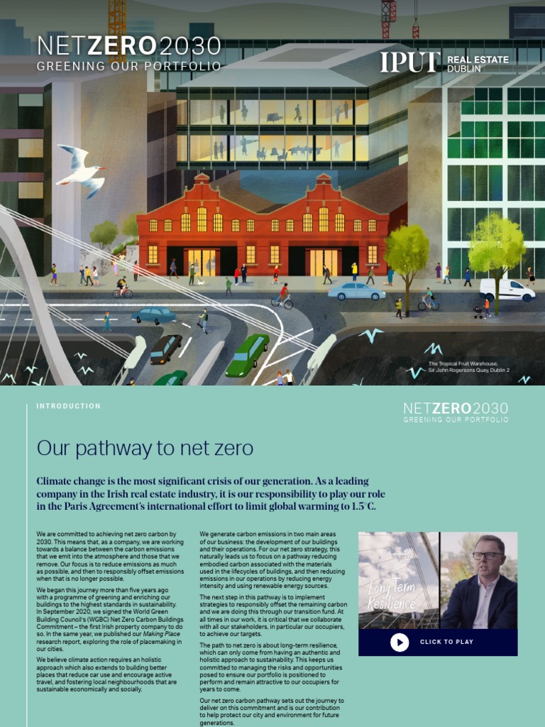 Iput Netzero 2030 | PDF | Carbon Offset | Climate Change Mitigation