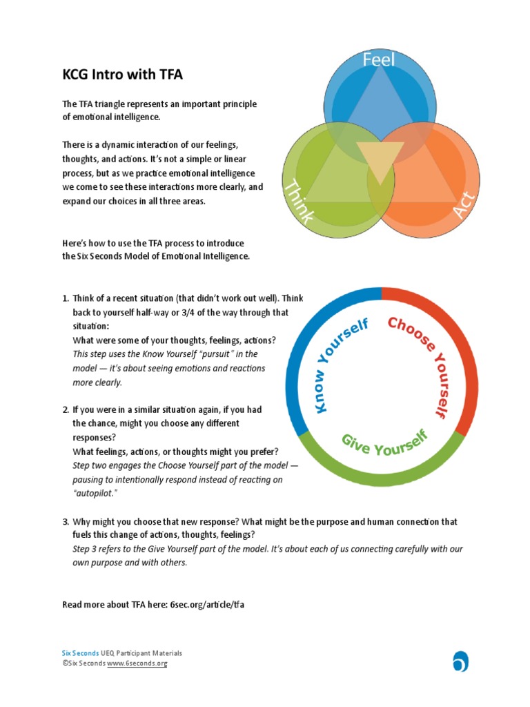 UEQ TFA Instructions | PDF