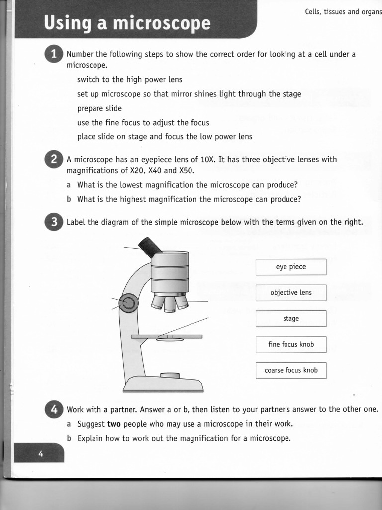 Ks3 Science Activity Book 1 | PDF