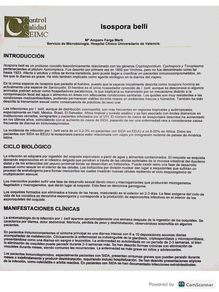 Isospora Belli | PDF