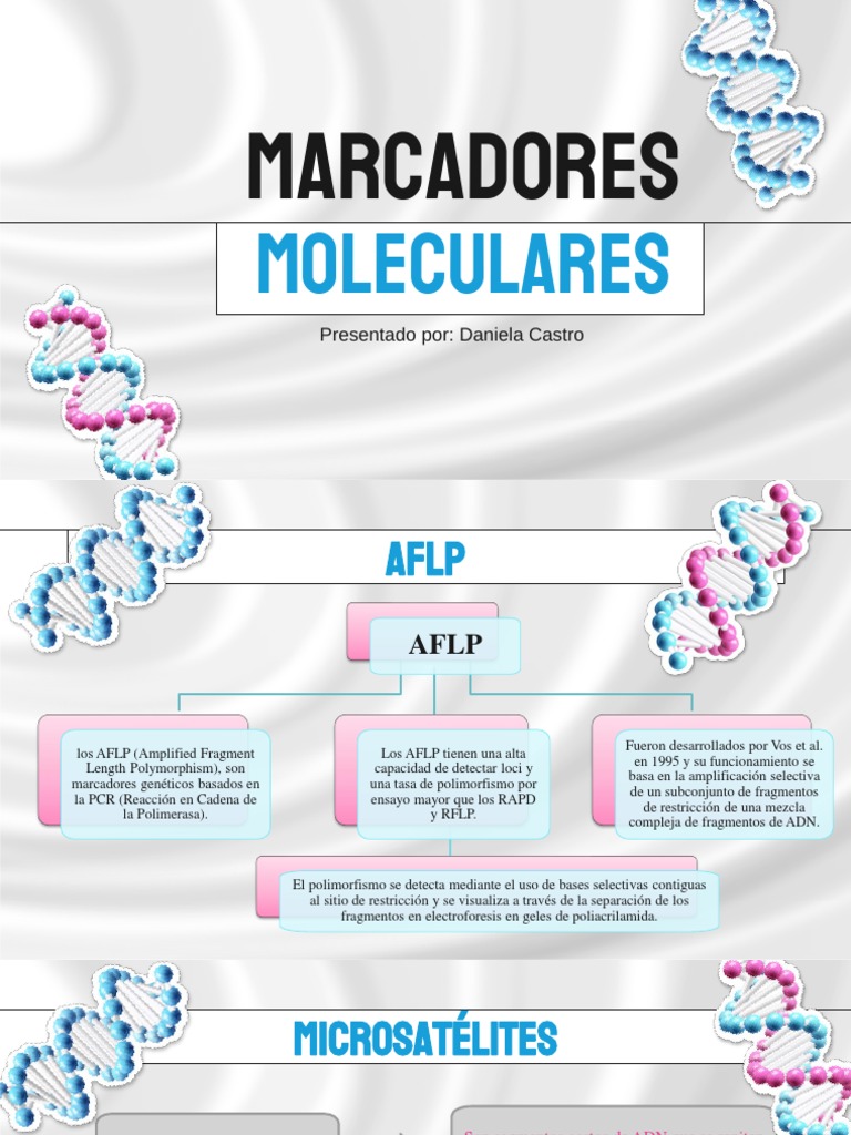 Marcadores Moleculares | PDF | Lugar cuantitativo | Microsatélite