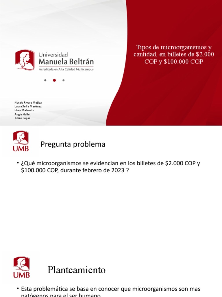 Presentacion UMB-Plantilla | PDF