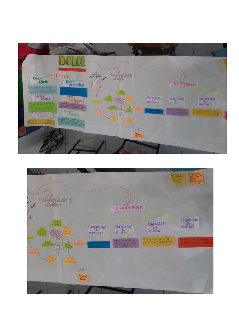 U2. Mapa Conceptual | PDF